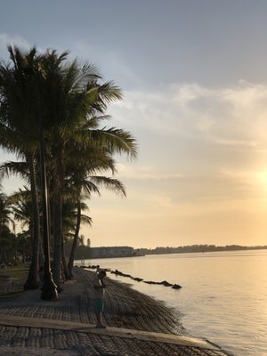 BIRD KEY PARK - 65 Photos & 11 Reviews - 101 Bird Key Dr, Sarasota, FL ...