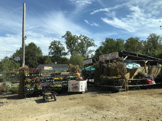 COLLINS PRODUCE & PLANTS - Updated October 2025 - 14 Photos - Bowie ...