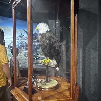 WISCONSIN VETERANS MUSEUM - Updated December 2025 - 163 Photos & 36 ...