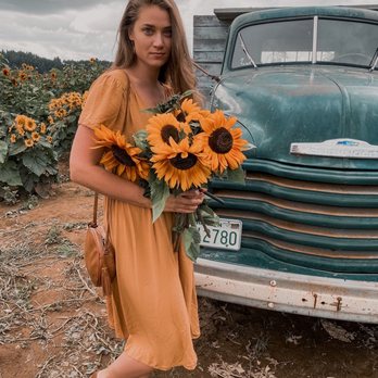 SCHILTER FAMILY FARM - Updated November 2024 - 151 Photos & 114 Reviews ...