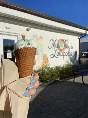 MISS TILLYS LOLLIPOPS - Updated January 2025 - 16 Photos - Ocala ...