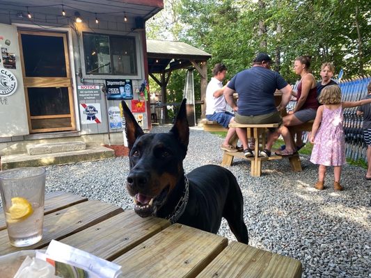 DOVER BAR & GRILL - Updated January 2026 - 257 Photos & 42 Reviews ...