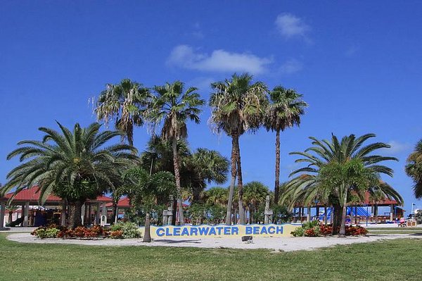 LISA FLORY - CHARLES RUTENBERG REALTY - 1545 S Belcher Rd, Clearwater ...