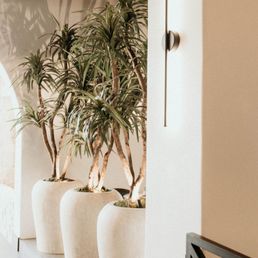 PV’S PRIME GRILL & TEQUILA - Updated August 2025 - 897 Photos & 643 ...