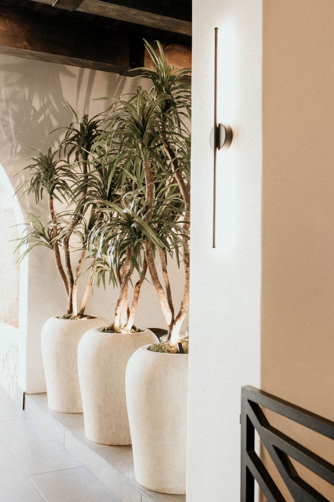 PV'S Prime Grill & Tequila, Rancho Cucamonga | Roadtrippers