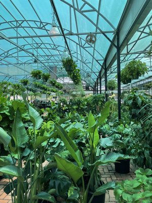 RUIBAL’S PLANTS OF TEXAS - Updated August 2025 - 23 Photos & 24 Reviews ...