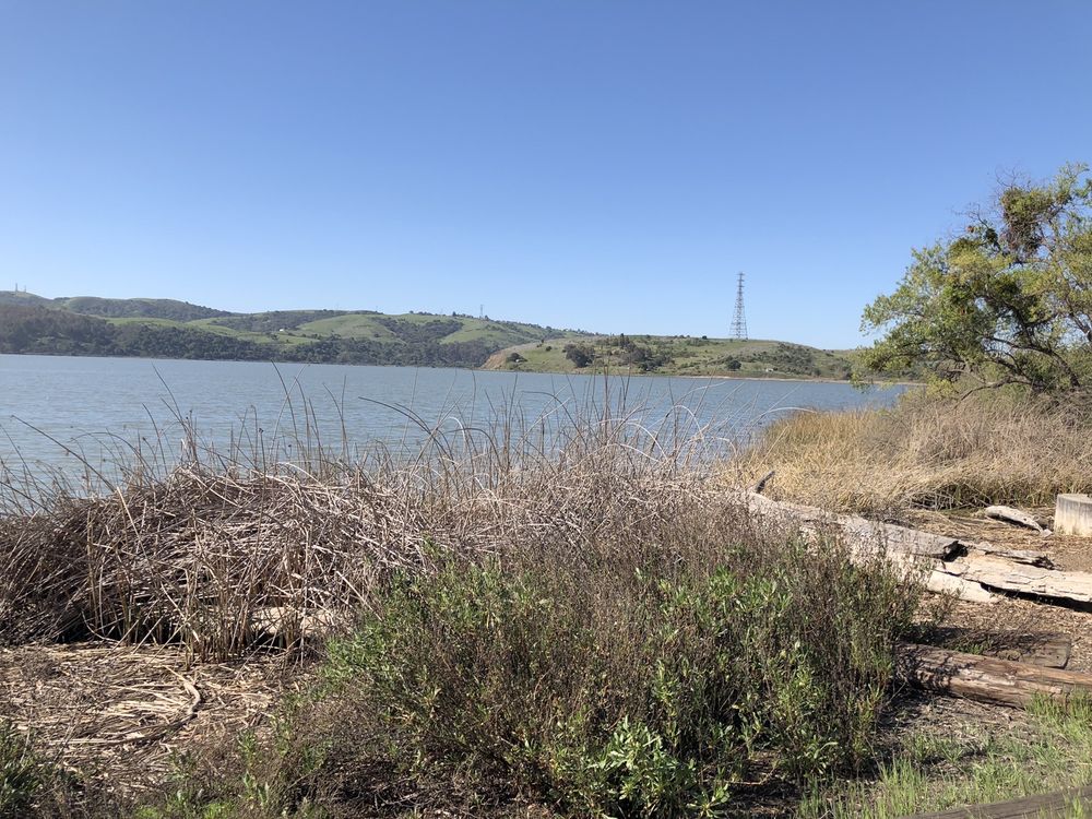 BENICIA COMMUNITY PARK - 81 Photos & 48 Reviews - 540 Rose Dr, Benicia ...