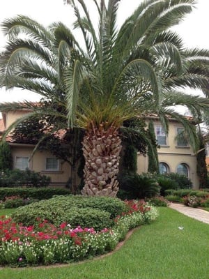 STICKS TREE SERVICE - Updated November 2024 - 43 Photos & 11 Reviews ...