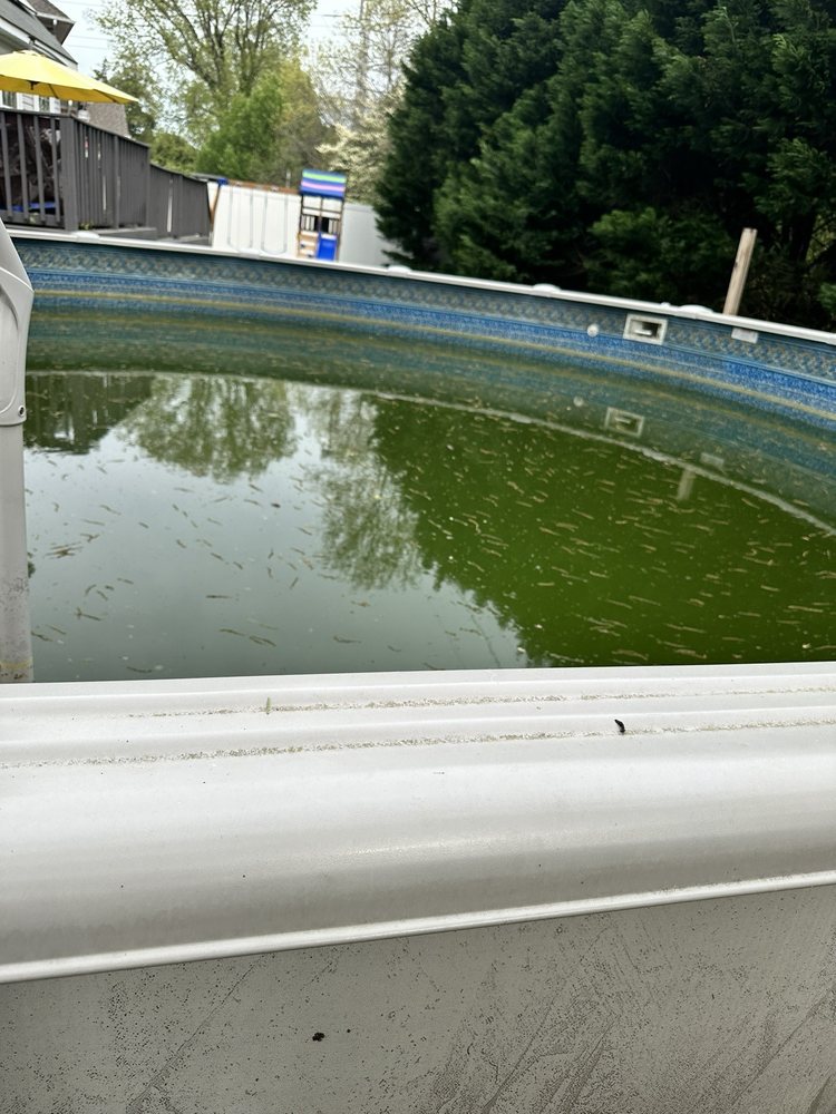 COUNTY POOLS - Updated November 2025 - 13 Photos - 233 West 25th St ...