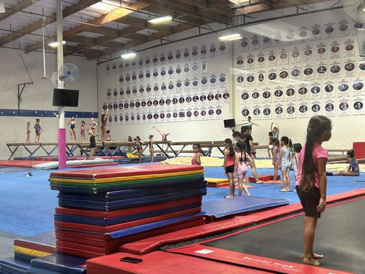 Amazing Winners Academy Of Gymnastics Chino Photos