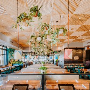 SOL MEXICAN COCINA - Updated September 2025 - 661 Photos & 872 Reviews ...