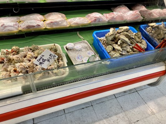 OCEAN MART - 207 Photos & 96 Reviews - 115 W 9000 S, Sandy, Utah - Yelp