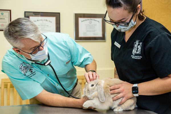 AVIAN AND EXOTIC ANIMAL CARE - Updated November 2024 - 99 Photos & 69 ...