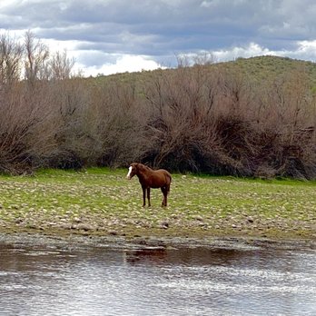COON BLUFF - Updated December 2025 - 49 Photos & 13 Reviews - Coon ...
