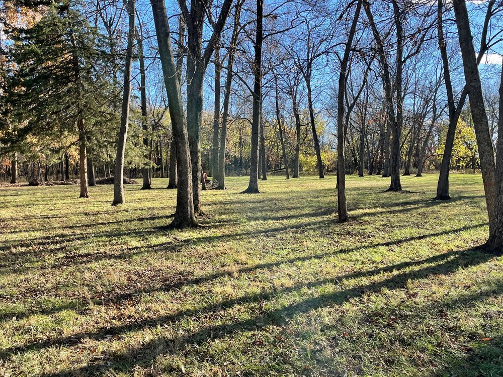 CB LEAF CLEANUP - Updated December 2024 - Request a Quote - Overland ...