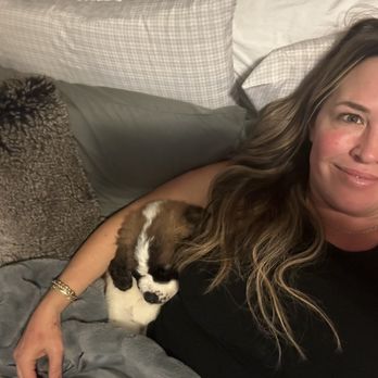 AVOCADO ANIMAL HOSPITAL OF FALLBROOK - Updated September 2025 - 36 ...