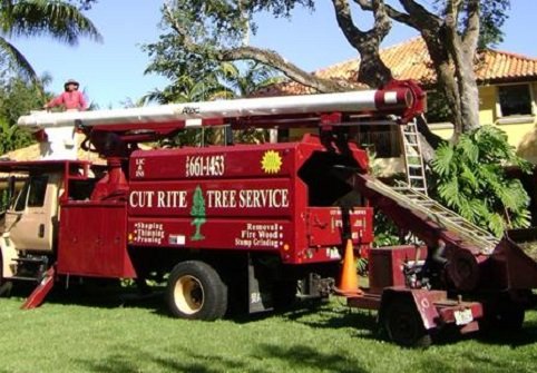 CUT RITE TREE SERVICE - Updated April 2025 - 6282 SW 57th Ave, Miami ...