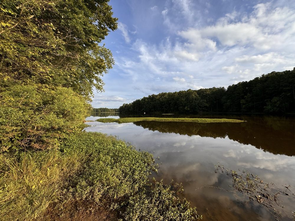 APEX COMMUNITY PARK - Updated October 2024 - 221 Photos & 42 Reviews ...