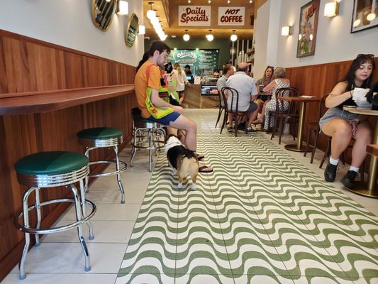 CHEECH’S - Updated October 2025 - 31 Photos & 14 Reviews - 176 Erie St ...