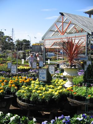 FLOWER POWER GARDEN CENTRE TAREN POINT - Updated October 2025 - Taren ...