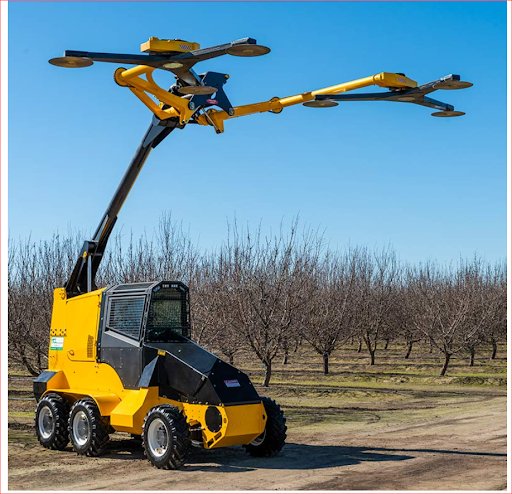 LGA TREE TOPPING - Updated September 2024 - 1225 Smith St, Kingsburg ...