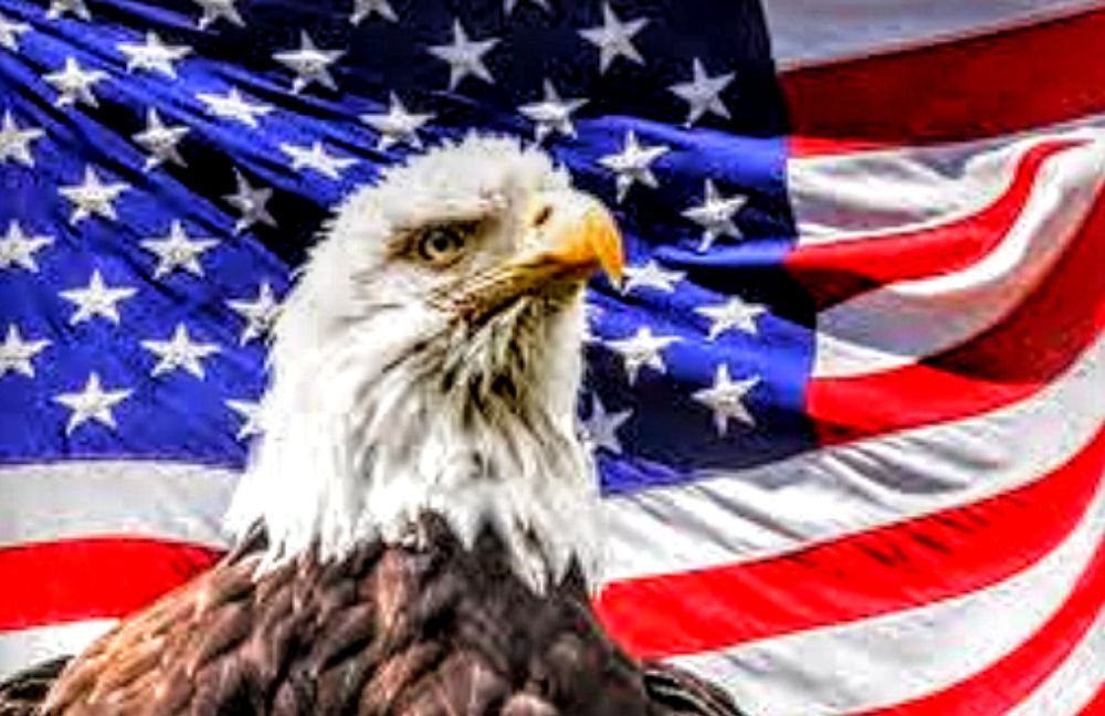 FREEDOM MOVING & HAULING - Updated July 2024 - 15 Photos - Perris ...