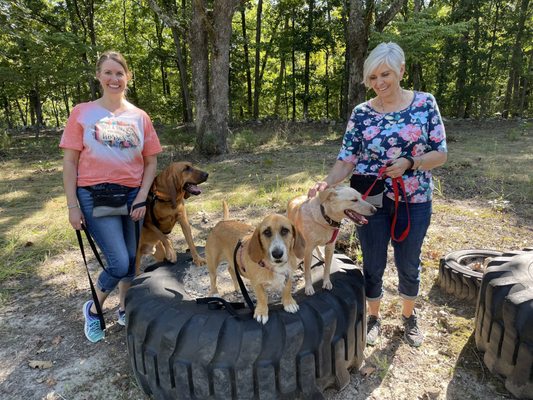 SPRINGFIELD SIDE KICK DOG TRAINING - Updated January 2026 - 68 Photos ...