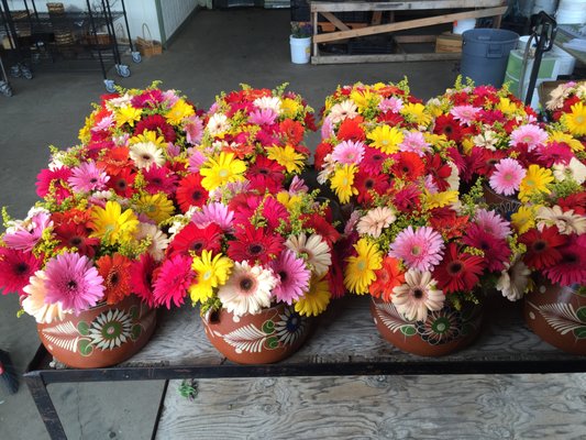 ENCINITAS FLOWER SHOP - Updated May 2026 - 74 Photos & 55 Reviews ...