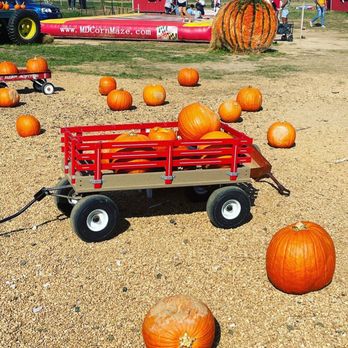 THE MARYLAND CORN MAZE - Updated October 2025 - 83 Photos & 30 Reviews ...