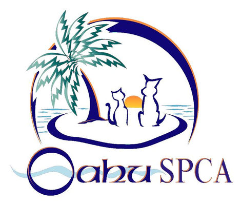 OAHU SPCA - Updated April 2026 - 152 Photos & 209 Reviews - 823 Olive ...