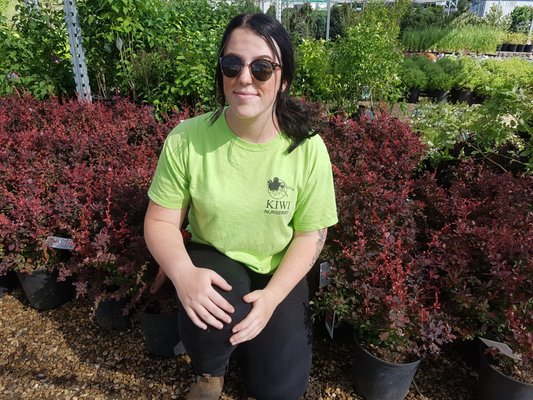 KIWI NURSERIES - Updated June 2025 - 20 Photos - 27007 Township Road ...