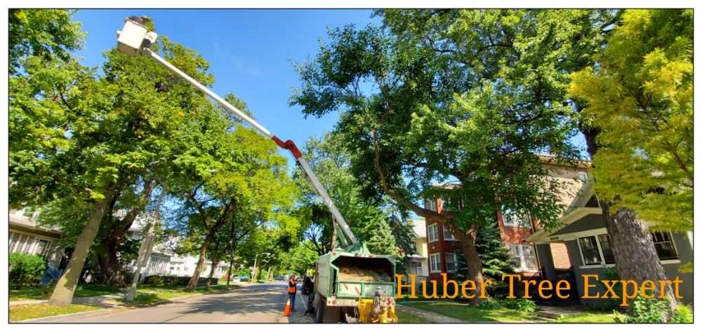 HUBER TREE EXPERT - Updated December 2025 - 114 Photos & 33 Reviews ...