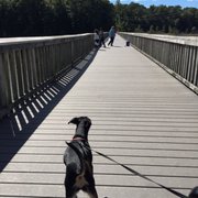 Lake Johnson Park - 204 Photos & 115 Reviews - Parks - 4601 Avent Ferry ...