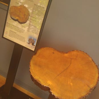 SEAGER PARK INTERPRETIVE CENTER - Updated December 2025 - 26 Photos ...