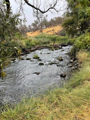 LAKE SOLANO COUNTY PARK AND CAMPGROUND - Updated May 2025 - 125 Photos ...