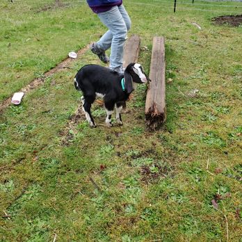 LEFT FOOT FARM - Updated July 2025 - 34 Photos - 31510 44th Ave E ...