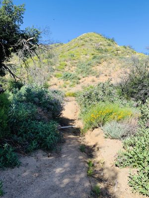 EAST WALKER RANCH - Updated July 2025 - 32 Photos - 16723 Placerita ...