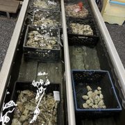 BUCK BAY SHELLFISH FARM - 254 Photos & 146 Reviews - Seafood Markets ...