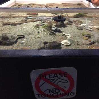 CAPE COD MUSEUM OF NATURAL HISTORY - Updated July 2024 - 41 Photos & 40 ...