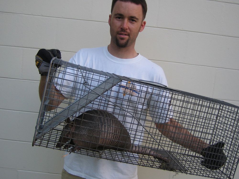 FOLSOM WILDLIFE REMOVAL - Updated December 2025 - Request a Quote - 20 ...