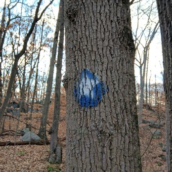 SAXON WOODS PARK - Updated December 2025 - 110 Photos & 20 Reviews ...