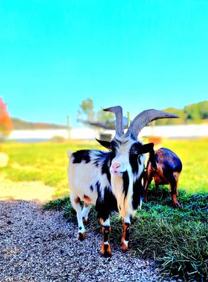 WILSTEM - Updated December 2025 - 354 Photos & 89 Reviews - 4229 W US ...