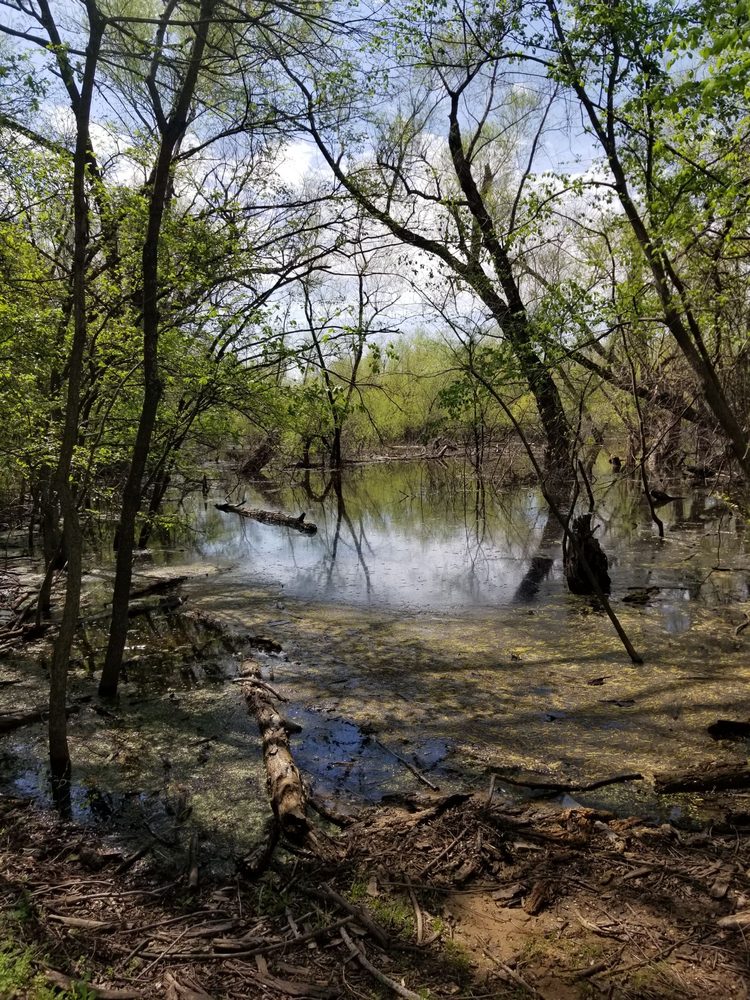 LLELA NATURE PRESEVE - 18 Photos - Hiking - 201 E Jones St, Lewisville ...