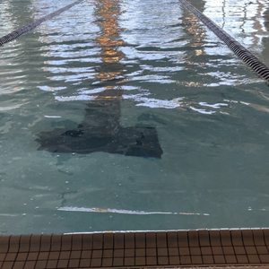 WINSTON FAMILY YMCA - 170 Photos & 61 Reviews - 221 Riverside Ave ...