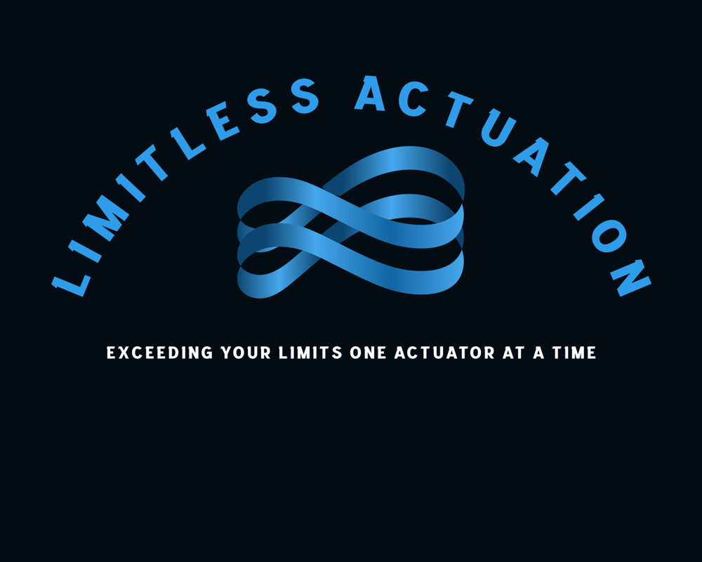 LIMITLESS ACTUATION - Updated February 2025 - 262 Davis Rd SE, Old Fort ...