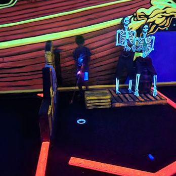 IMAGINE 3D MINI GOLF - 201 Photos & 245 Reviews - 785 W Warner Rd ...