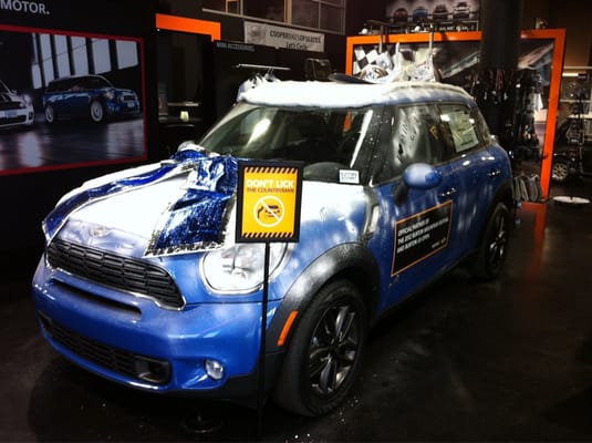 SEATTLE MINI - Updated February 2025 - 62 Photos & 220 Reviews - 11550 ...