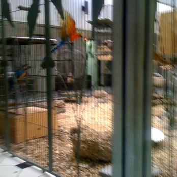 GREGORY FOX, DO - FOX MEDICAL CENTERS - Updated January 2026 - 12 ...