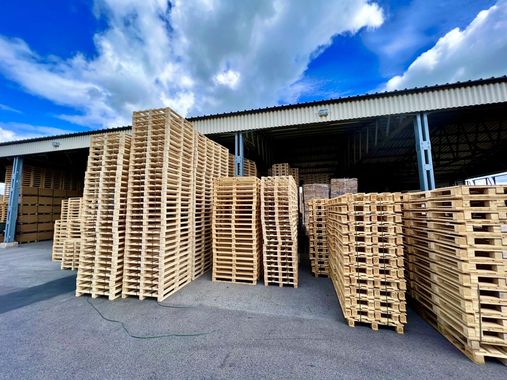 GLF PALLET GROUP - Updated October 2024 - Kontoristg. 4, Genarp, Sweden ...