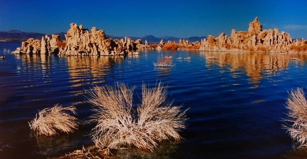 MONO LAKE PARK | 74 Photos & 13 Reviews - Lee Vining, California ...